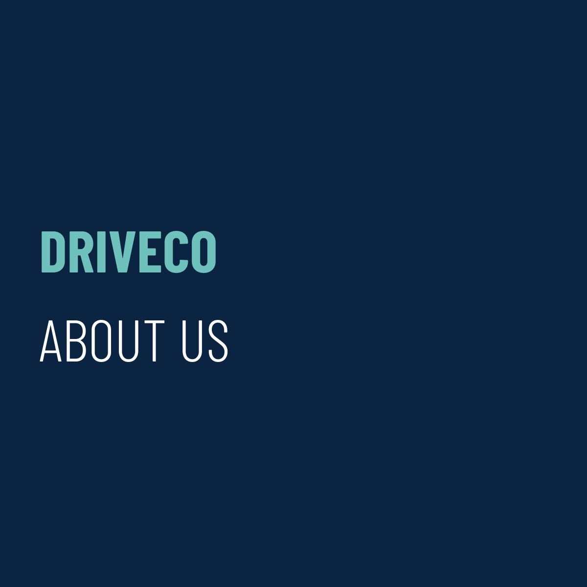 About DRIVECO, its employees and leadership team